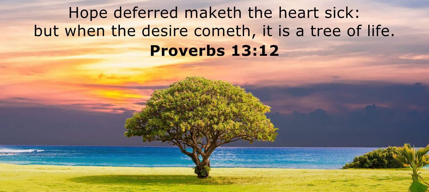 A Hope Deferred – A Book Review - Counseling One Another